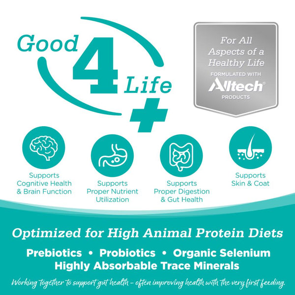 BUY Classic Catch | Healthy Cat Food | NutriSource Element Series ...