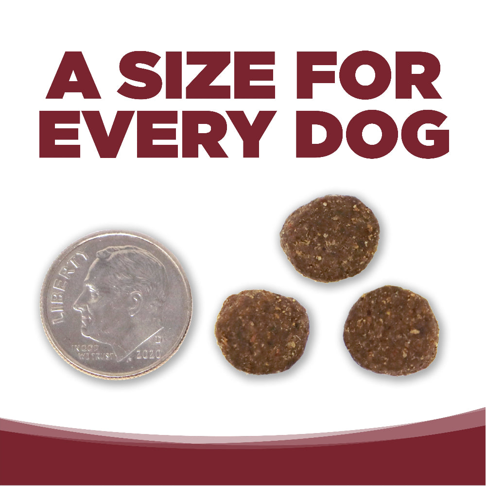 BUY Beef & Rice Dog Food | Healthy Dog Food | NutriSource Pet Foods ...